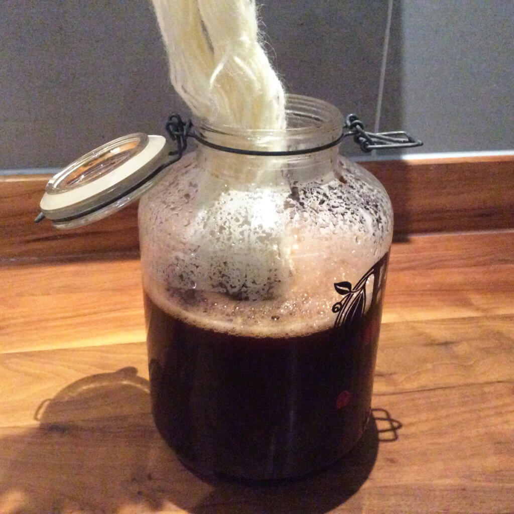 dyeing with natural dyes: part 4 – dyeing! - La Visch Designs