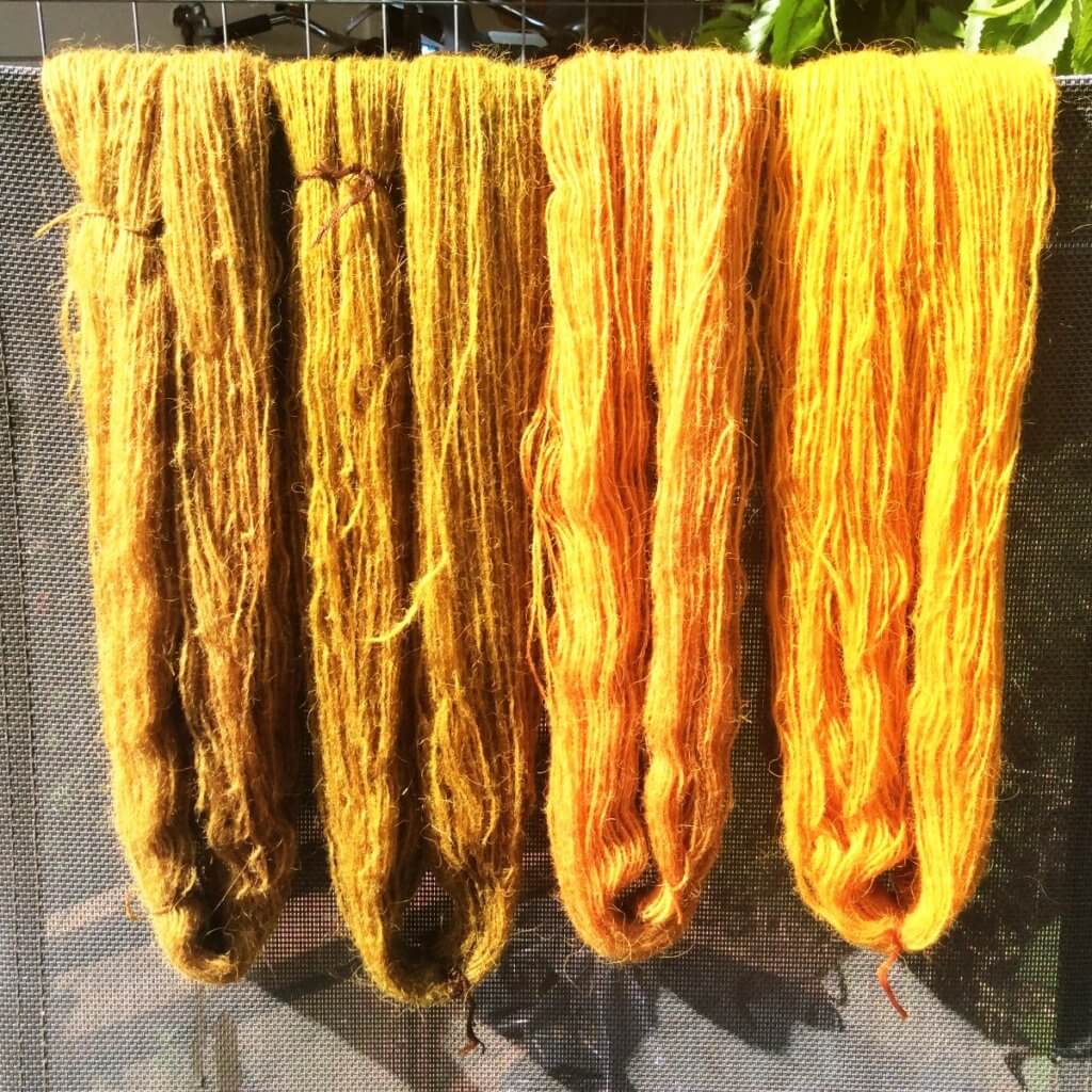 dyeing wool with onion skins - La Visch Designs